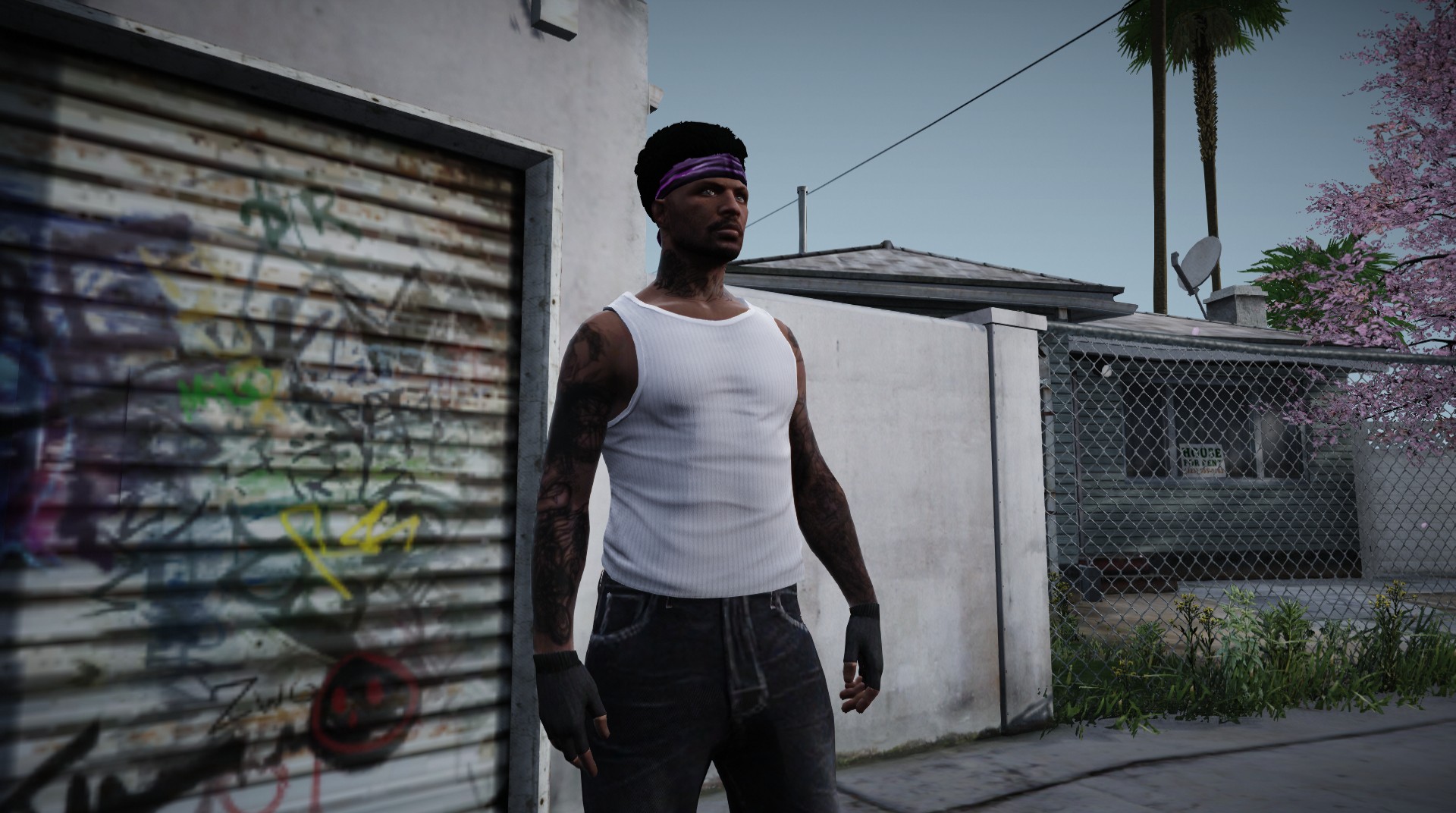 Davis - FiveM Snapmatic - Cfx.re Community