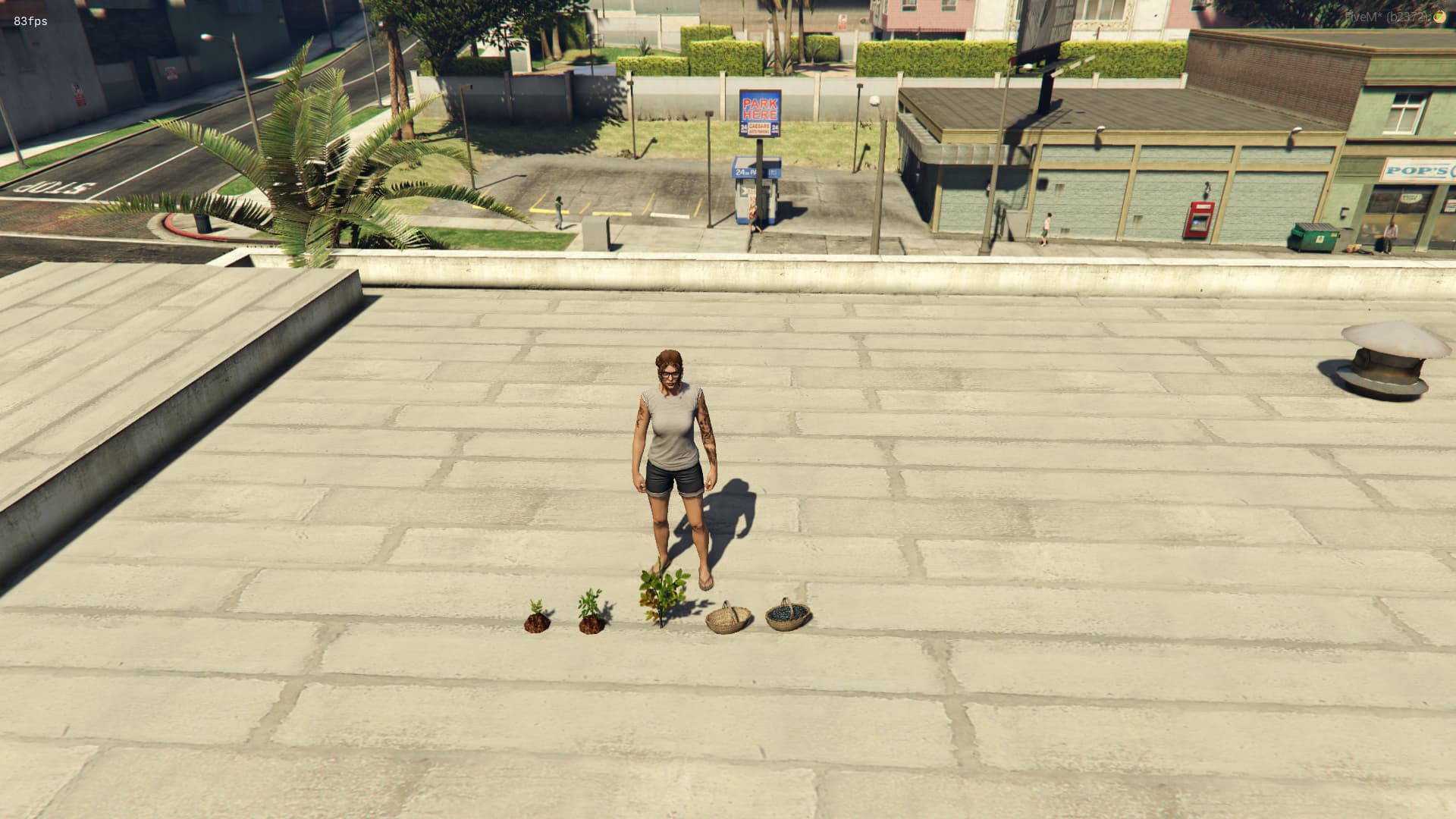 [ PROPS ] Blueberry plant - FiveM Releases - Cfx.re Community