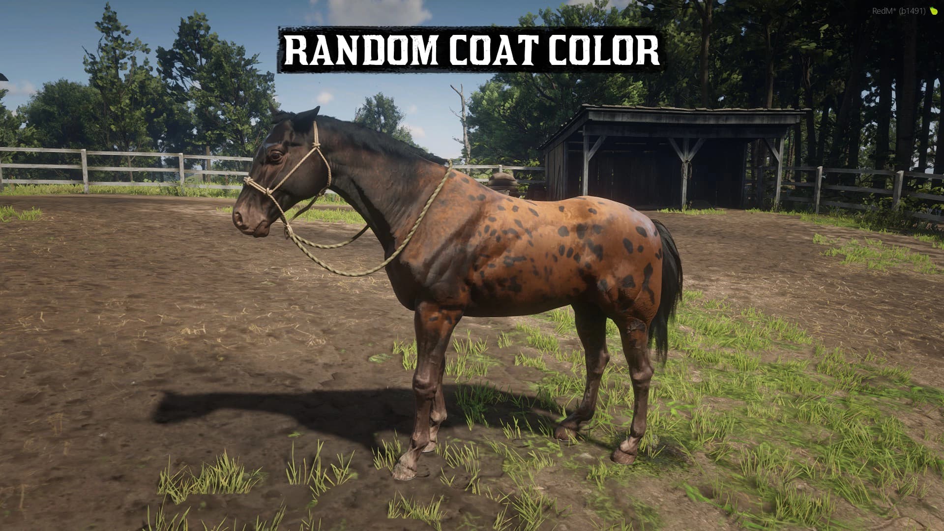 Horse breeding - Unique coat, statistiques, - RedM Releases - Cfx.re ...