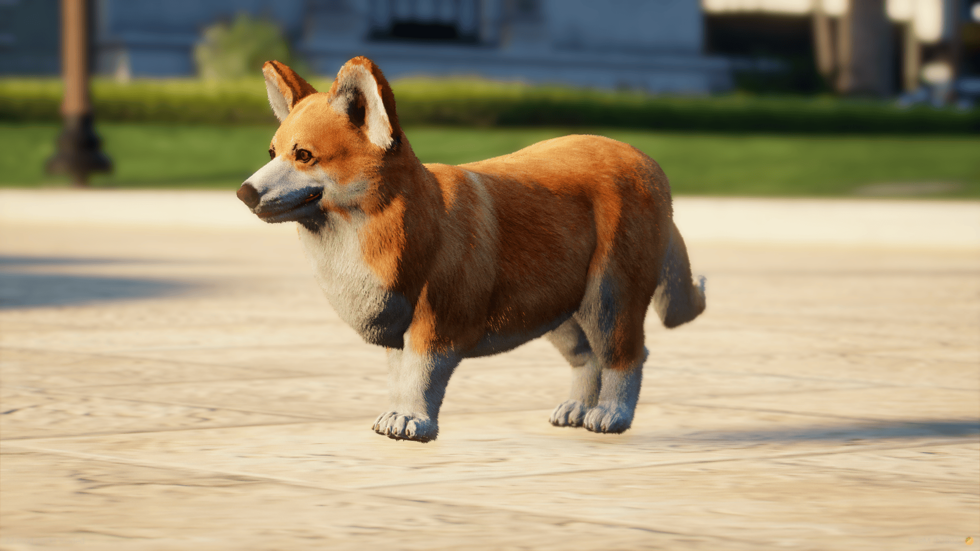 [Ped] Corgi - FiveM Releases - Cfx.re Community
