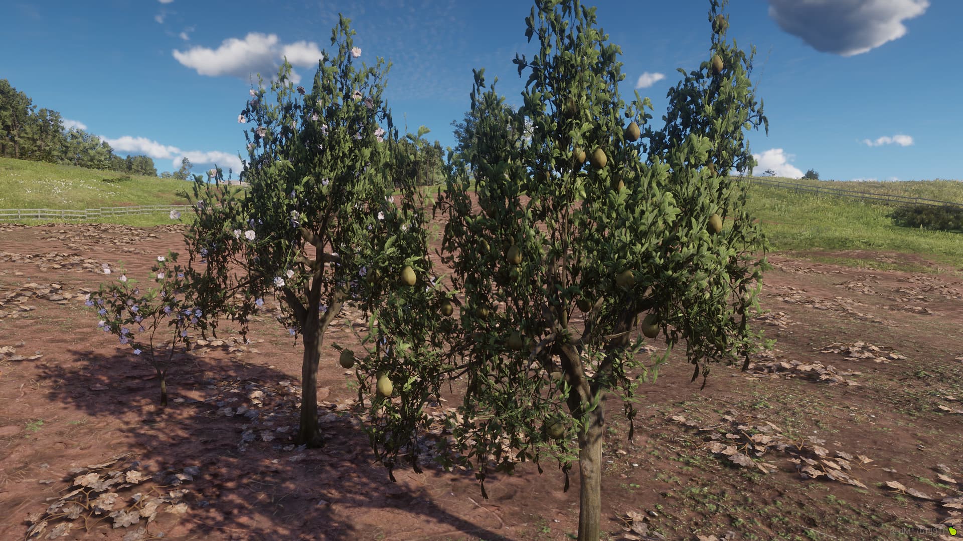 Plants Package 01 | Fruit Trees - RedM Releases - Cfx.re Community