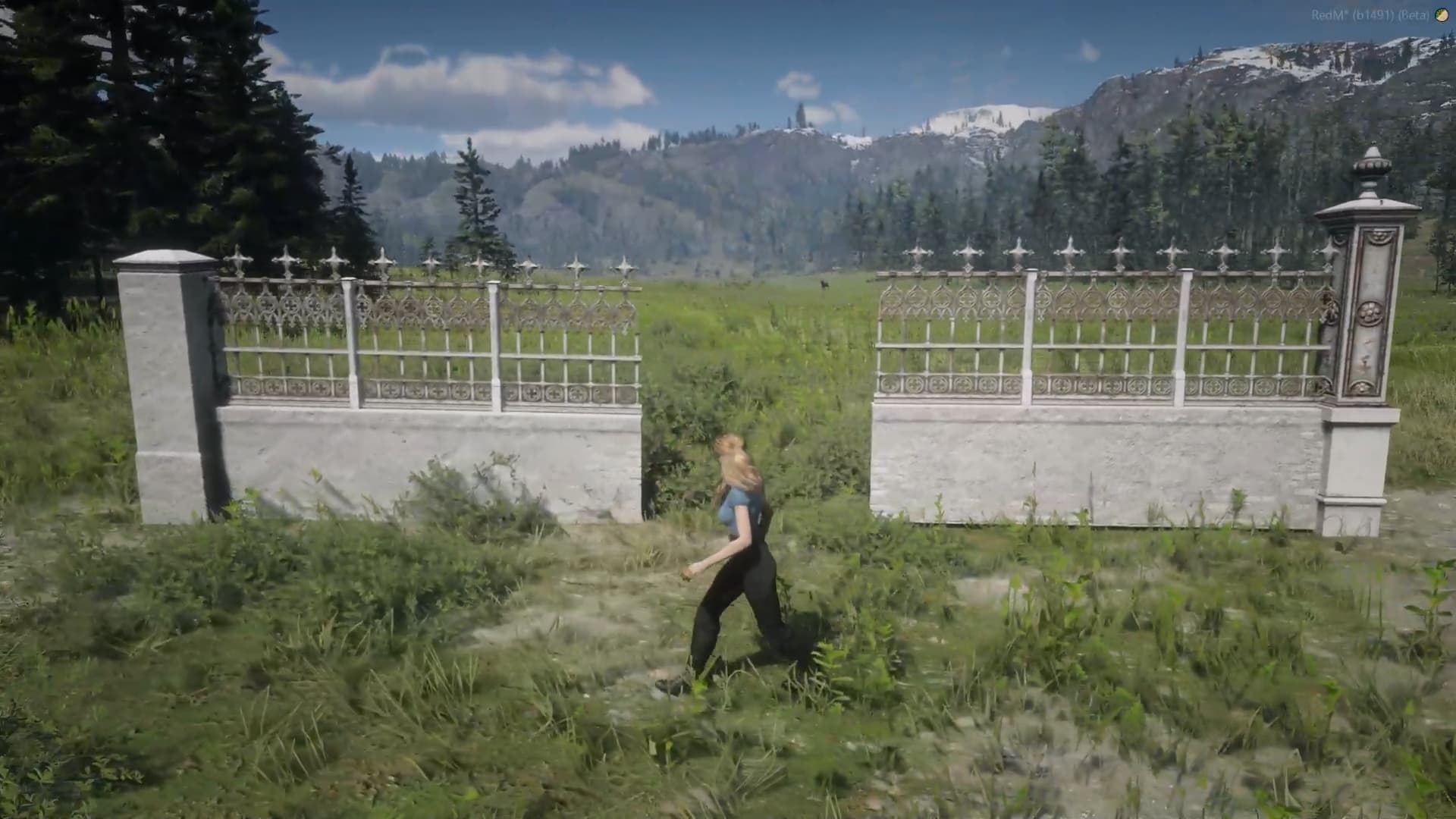 Fences, Gates and Walls for your Mappings and Housing! 🏡 - RedM ...