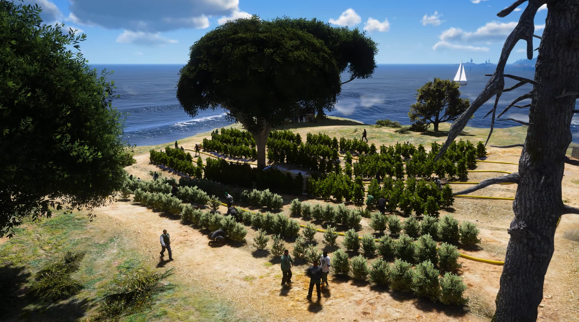 Island Weed Field - FiveM Releases - Cfx.re Community