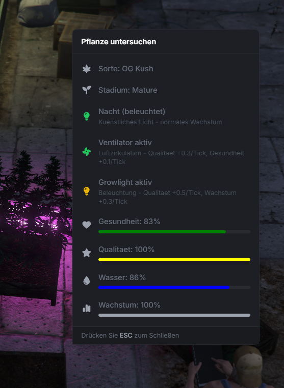 FiveM Best Weed Growing Script [ESX/QB/QBox/Ox] | MopsScripts - FiveM ...