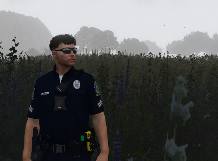 [PAID] Photo mode with Freecam PhotoCamera - FiveM Releases - Cfx.re ...