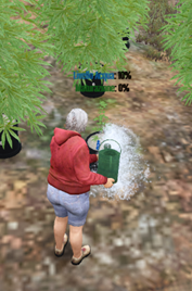 [ESX][PAID] Weed Plants Grow system (kpy-weedplants) - FiveM Releases ...
