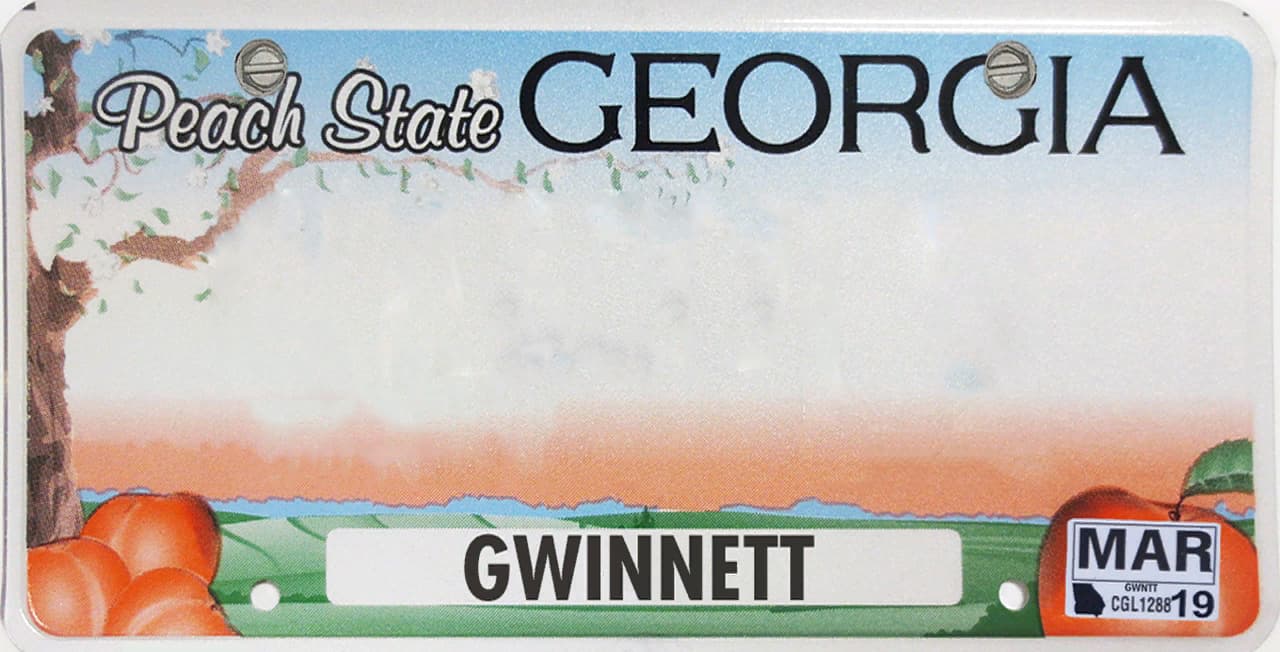 Georgia License Plate - FiveM Snapmatic - Cfx.re Community