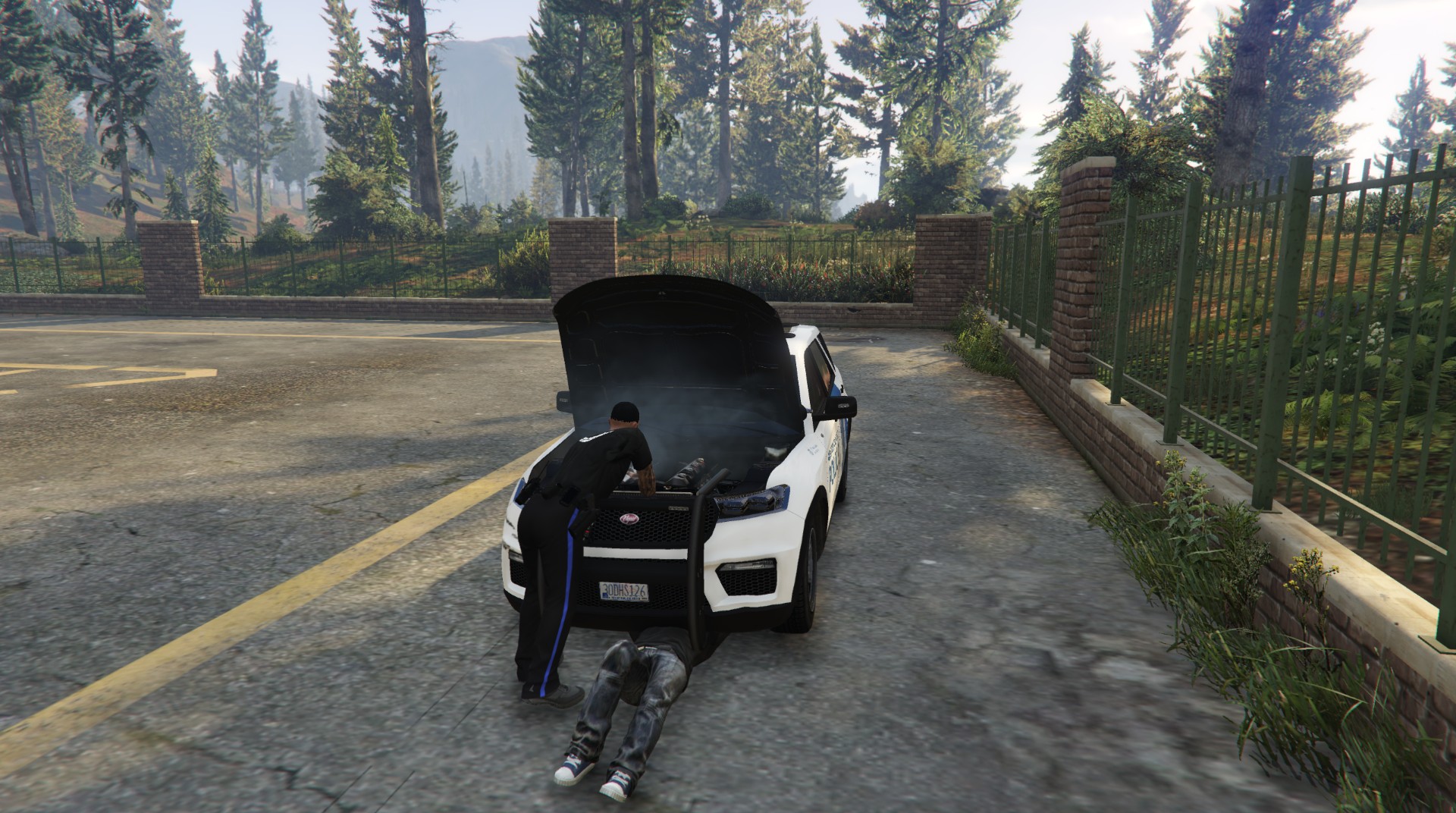 Mechanical Issue - FiveM Snapmatic - Cfx.re Community