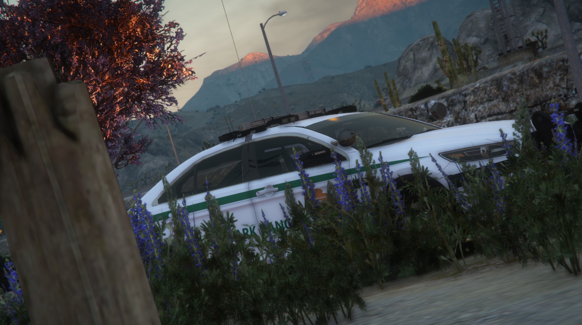 East Joshua Road - FiveM Snapmatic - Cfx.re Community