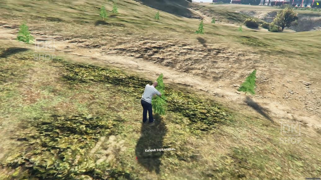 DK Weed System — Weed Farming, Drying & Crafting [Multi-Framework ...