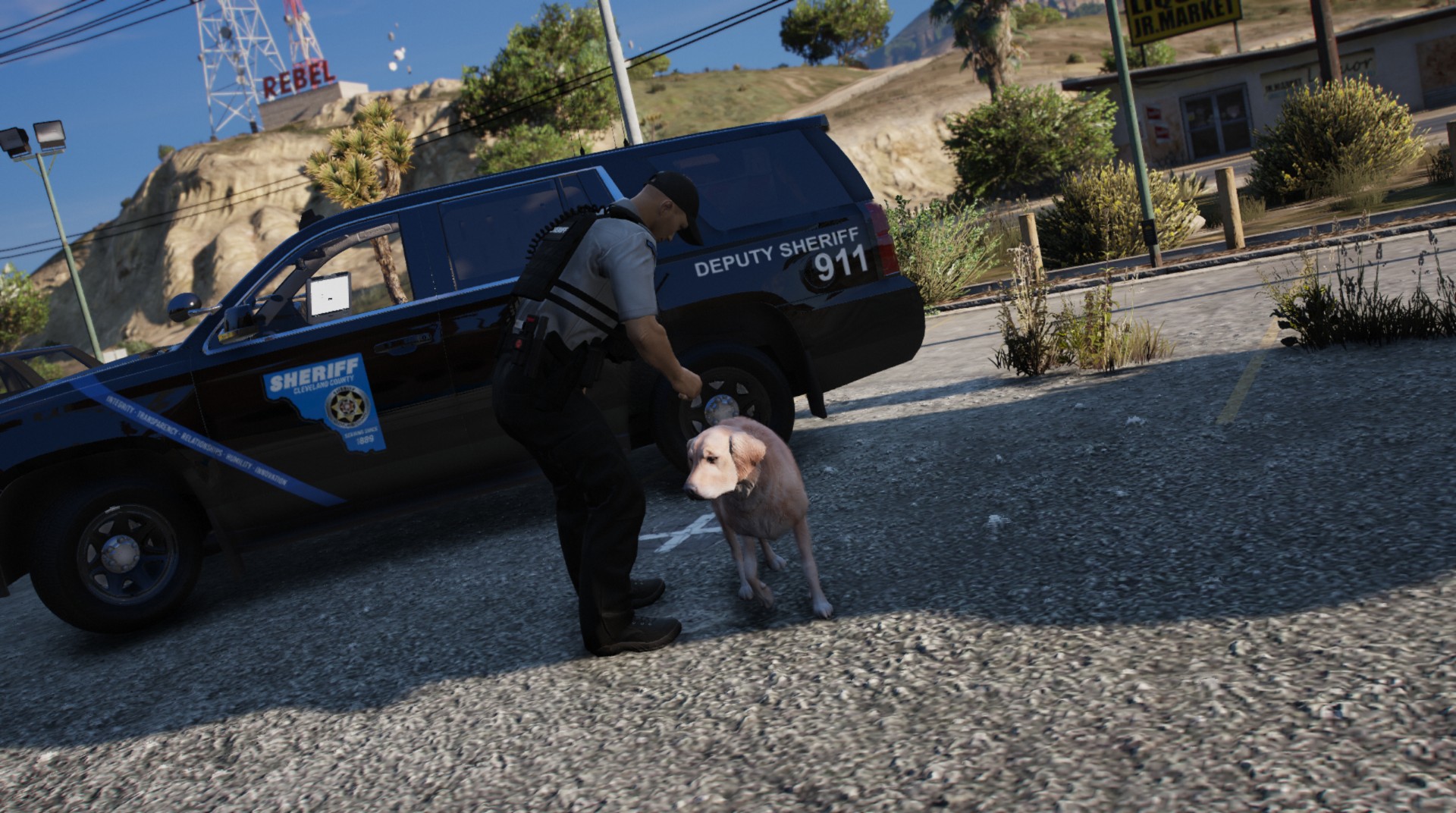 Harmony - FiveM Snapmatic - Cfx.re Community