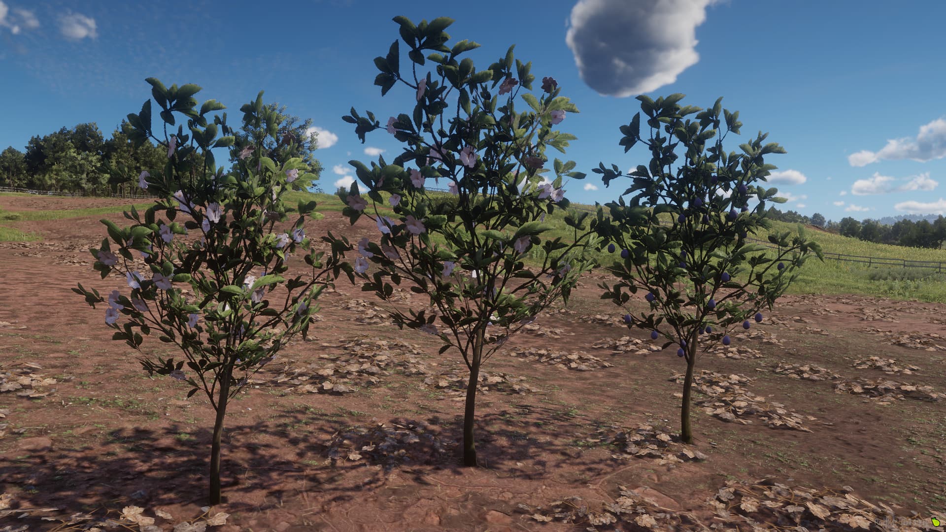 Plants Package 01 | Fruit Trees - RedM Releases - Cfx.re Community