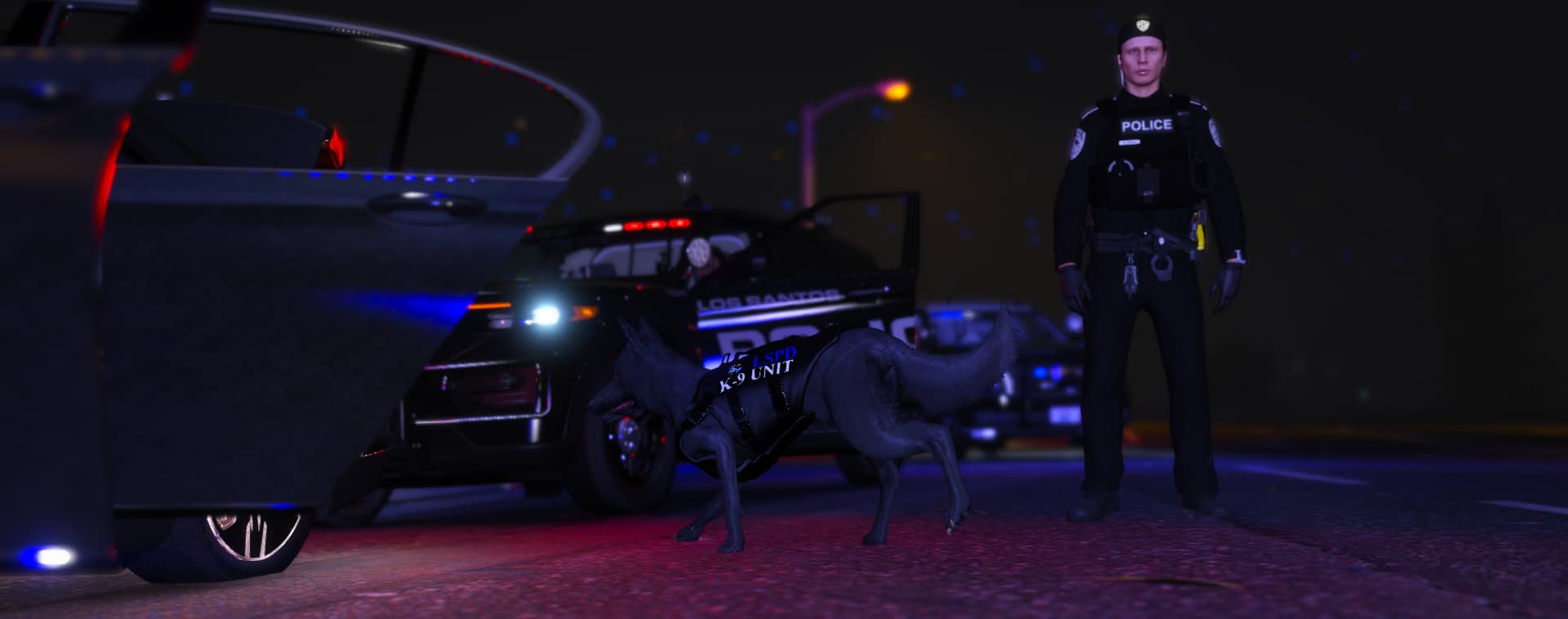 City Emergency Response Service - FivePD (Streamer Friendly) - Server ...