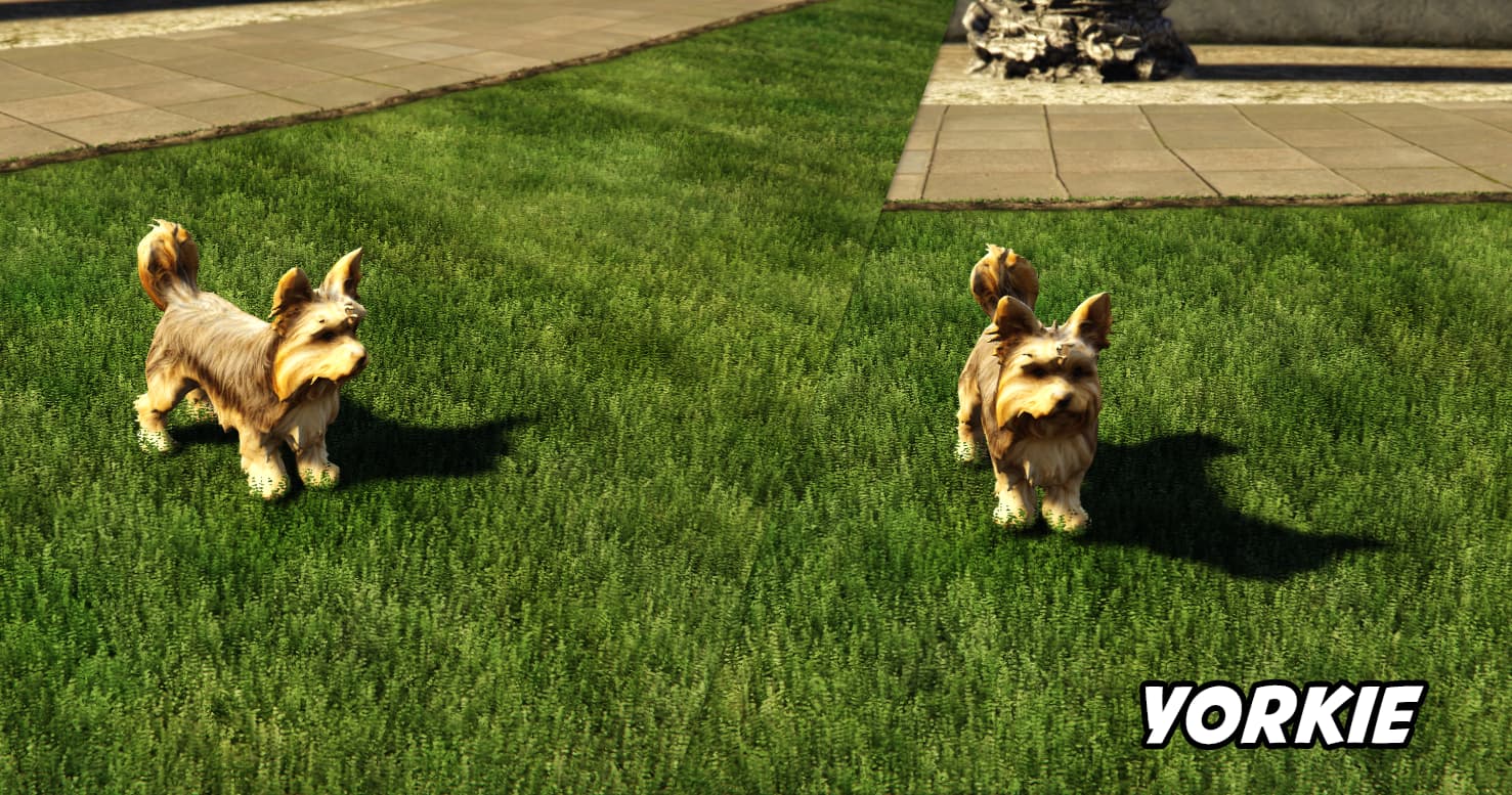 Premium Pets Subscription - FiveM's Largest Pet Subscription - FiveM ...