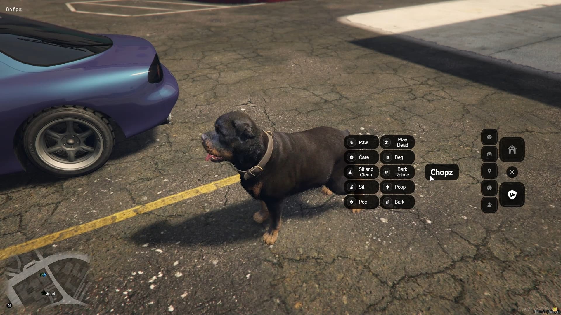 [ESX / QBCore] IF Pets System V2 (Dynamic Pet Behavior)(Most Advanced ...