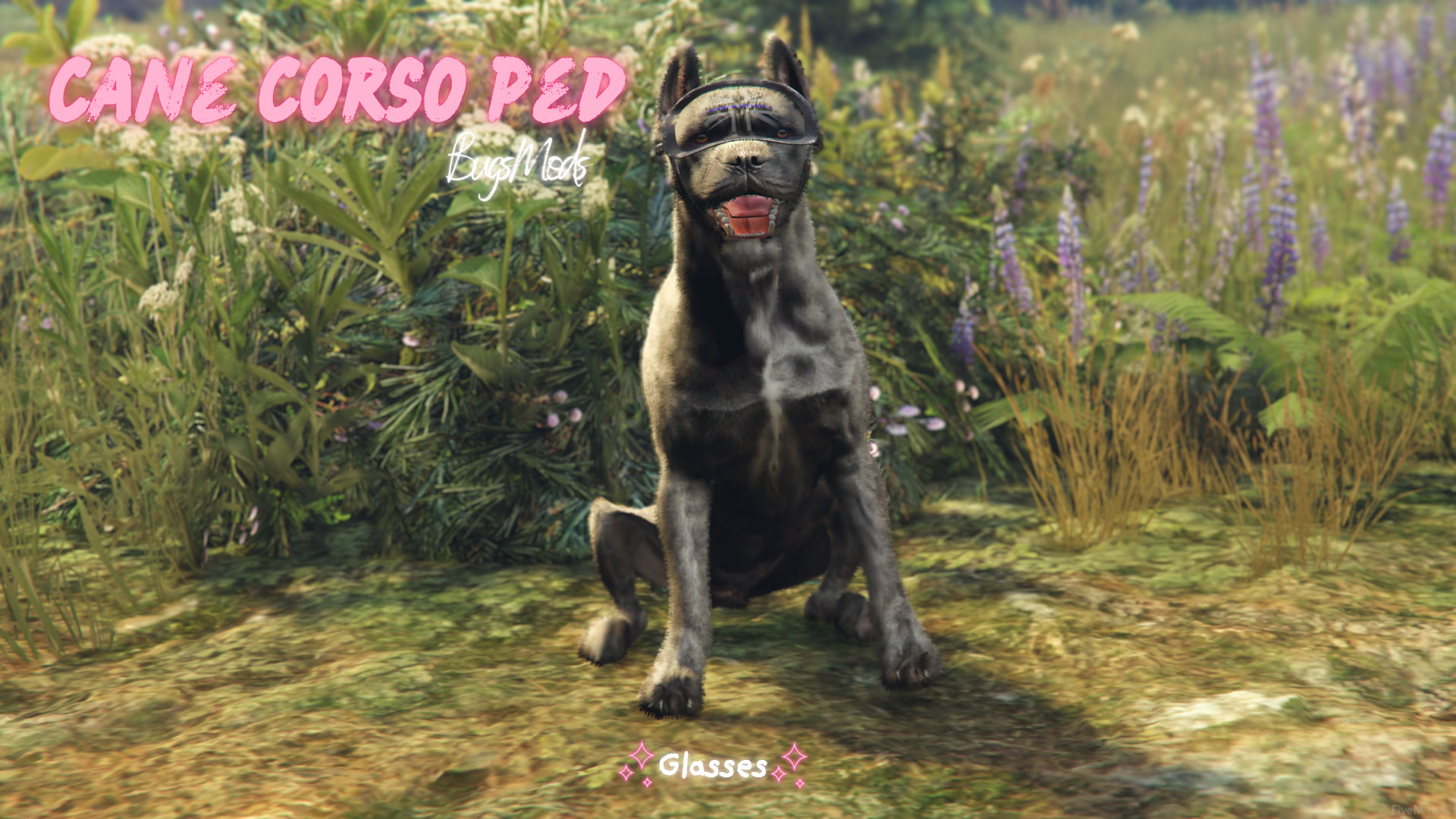 Cane Corso Ped (K9 & Civillian) - FiveM Releases - Cfx.re Community