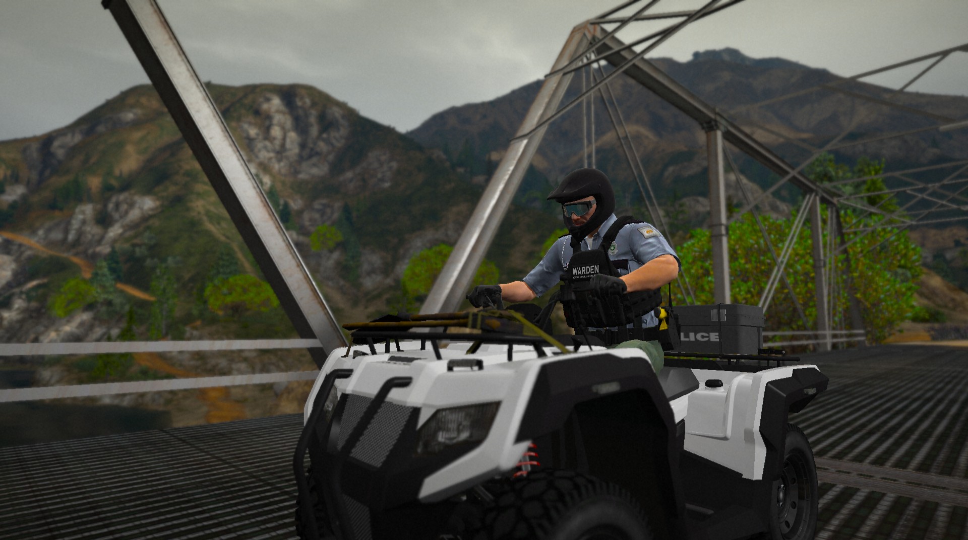 DNR Bridge - FiveM Snapmatic - Cfx.re Community