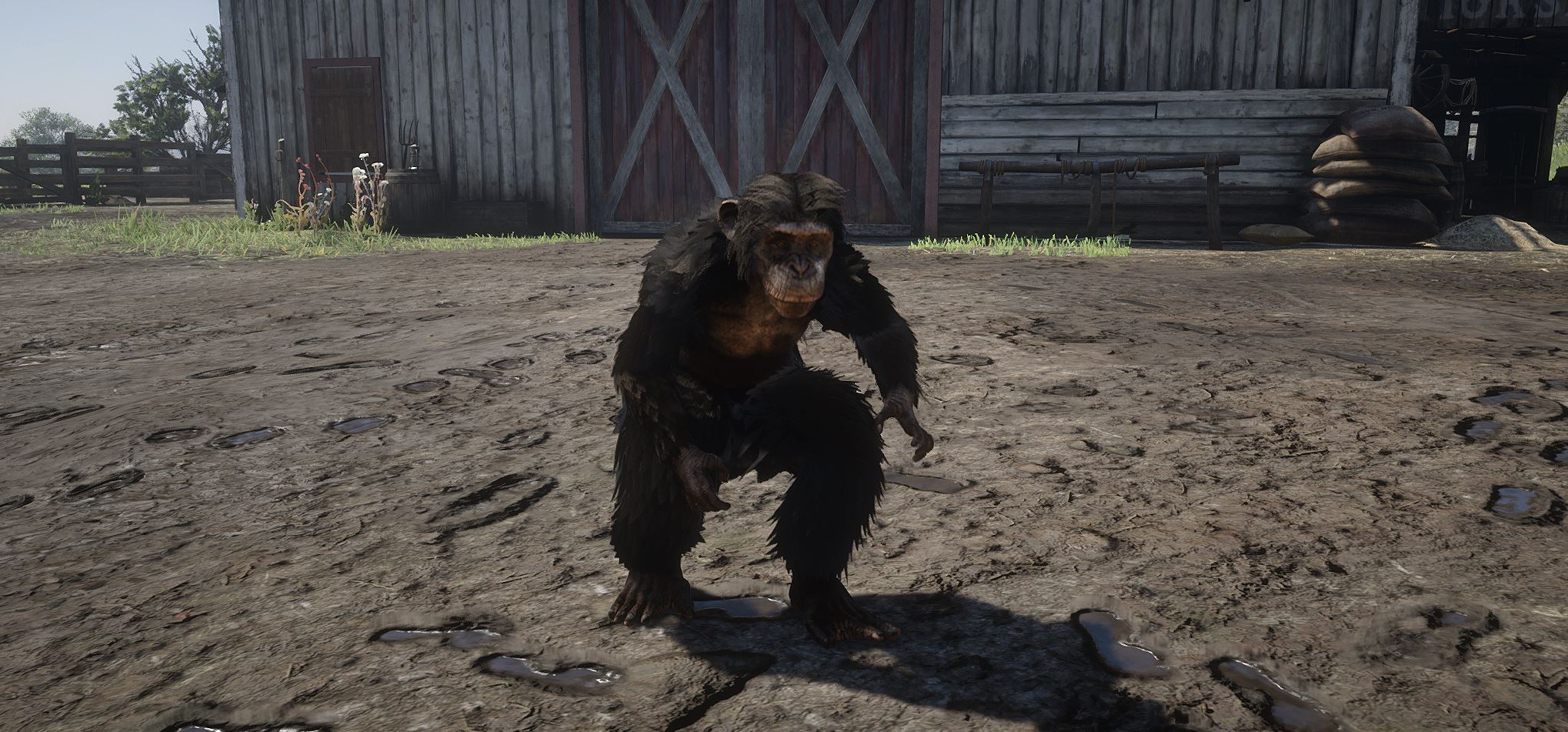 [FREE] Monkey Ped - RedM Releases - Cfx.re Community