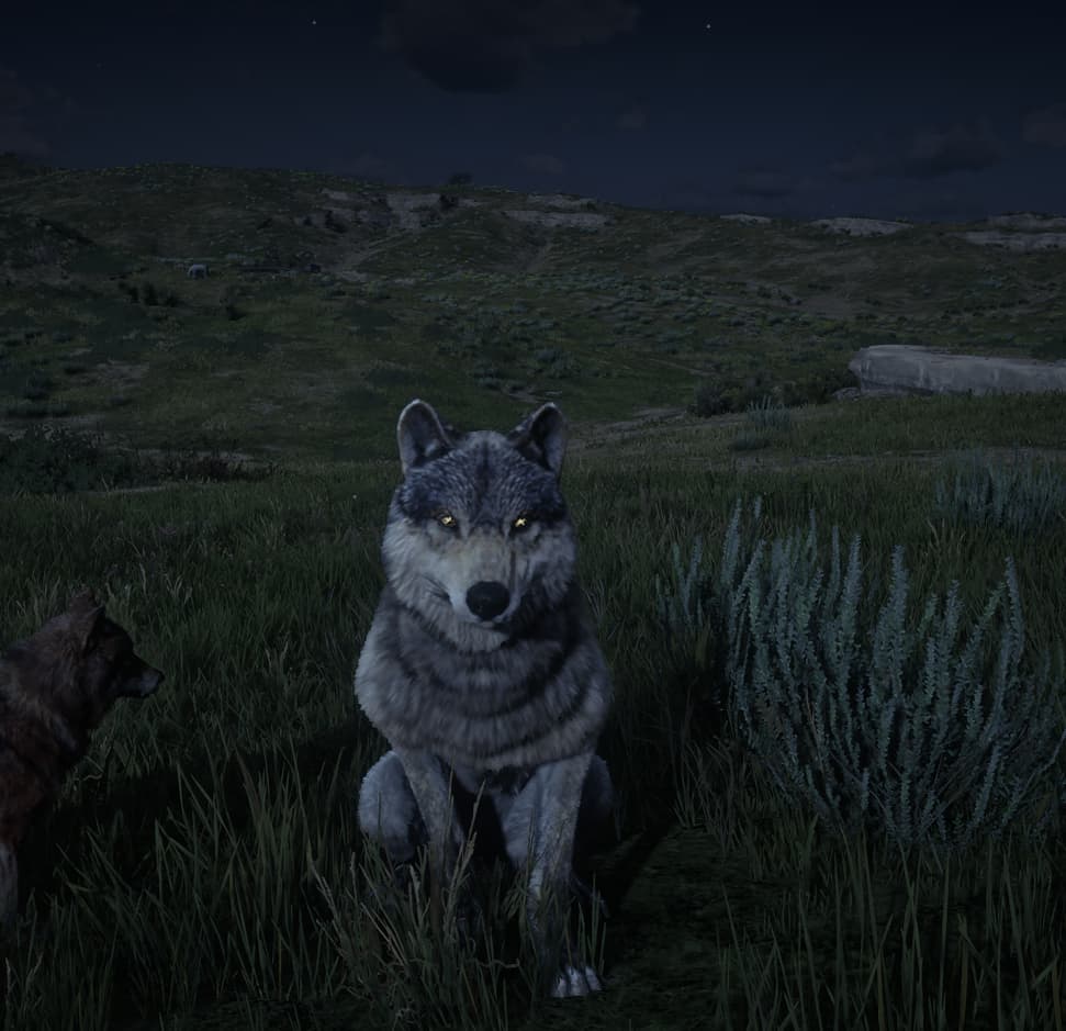 Macabre werewolf - - RedM Releases - Cfx.re Community