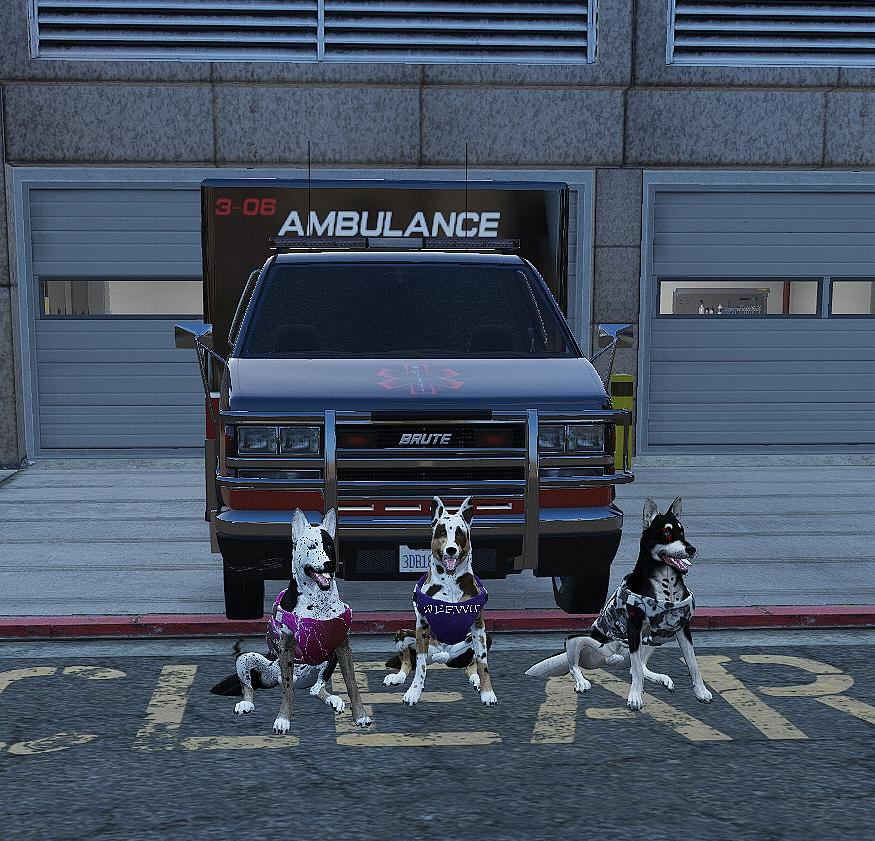 Join Odyssey RP - The Ultimate GTA 5M Roleplay Experience! - Server ...