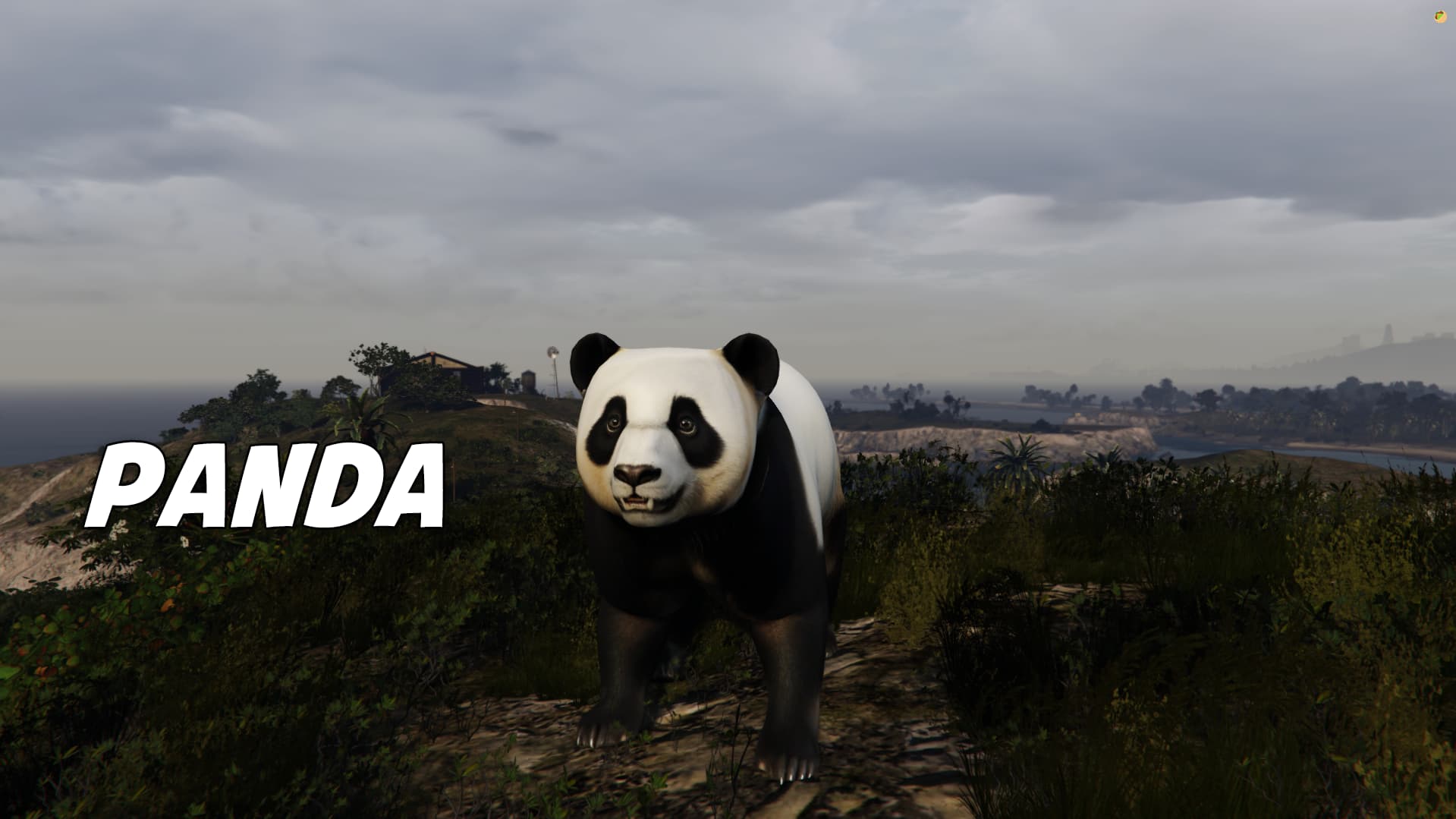 Panda - Addon Animal Ped - FiveM Releases - Cfx.re Community