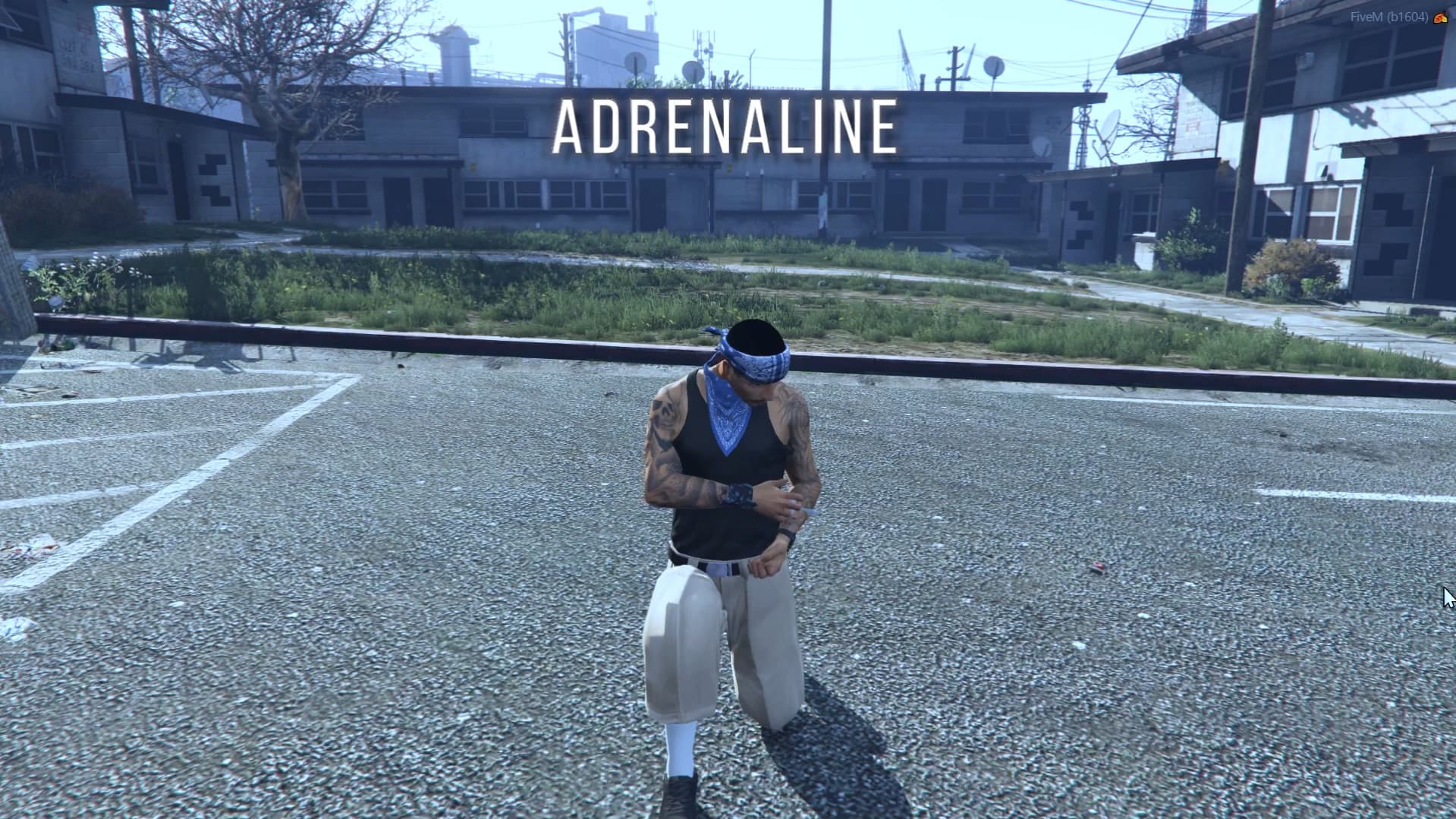 [ESX][PAID] 50% OFF! - Medic-Core V2 - Bandage Adrenaline Painkiller - Custom Animations,Items ...