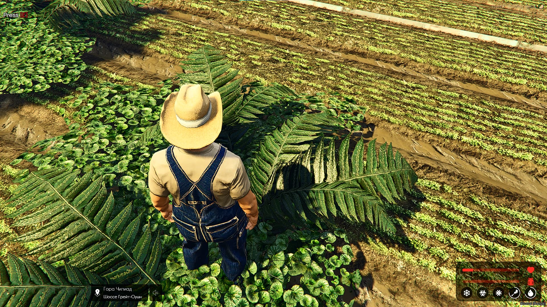 [ESX, QBCore, vRP, Standalone] Farming System - FiveM Releases - Cfx.re Community