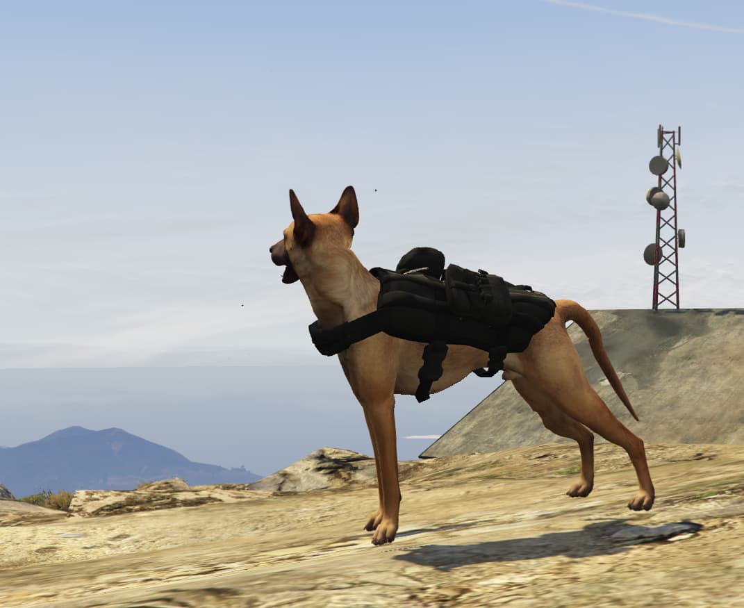 [PAID] Belgian Shepherd Police Dog - FiveM Releases - Cfx.re Community