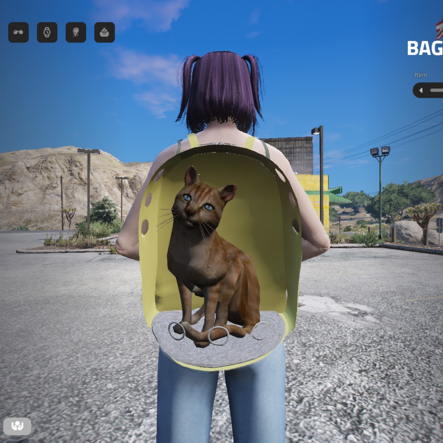 Pet Backpacks - FiveM Releases - Cfx.re Community