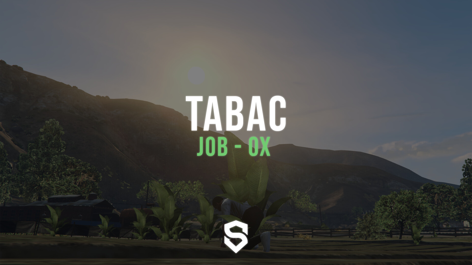 [PAID] [ESX] Tabac Job - FiveM Releases - Cfx.re Community