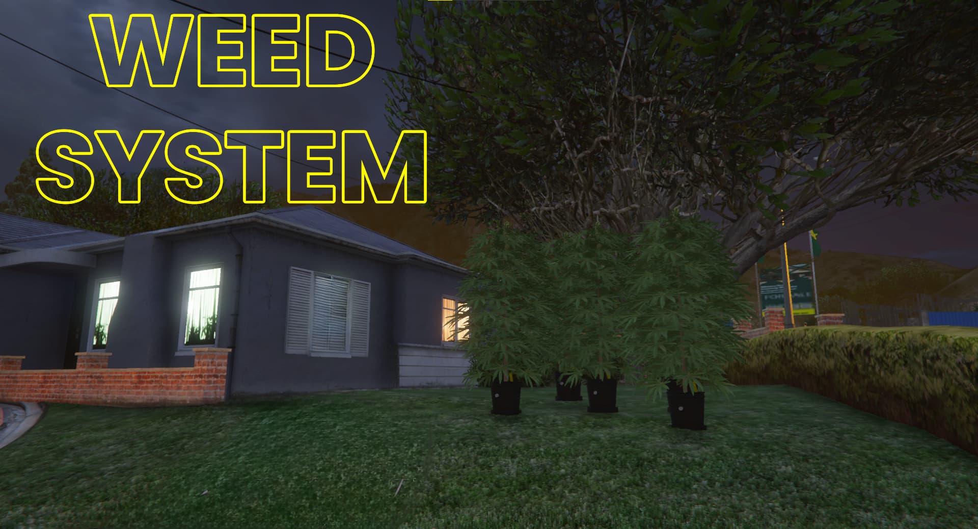 Advanced Weed Script - FiveM Releases - Cfx.re Community