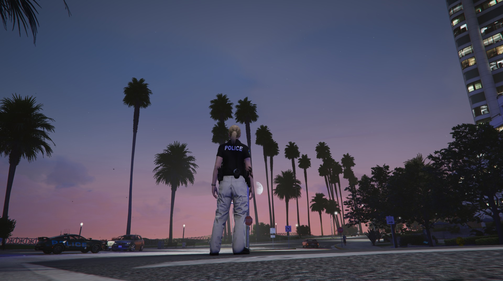 Bay City Ave - FiveM Snapmatic - Cfx.re Community