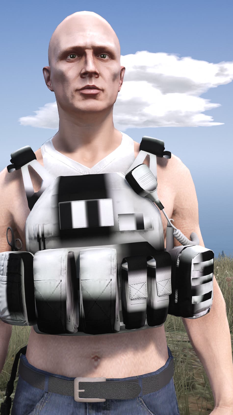 [EUP] [FIVEM READY] LAPD Patrol Vest - FiveM Releases - Cfx.re Community