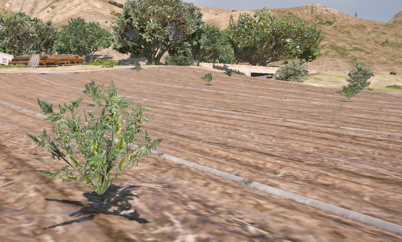 Multiplayer Farmer Job [ESX, QB & QBOX] - FiveM Releases - Cfx.re Community