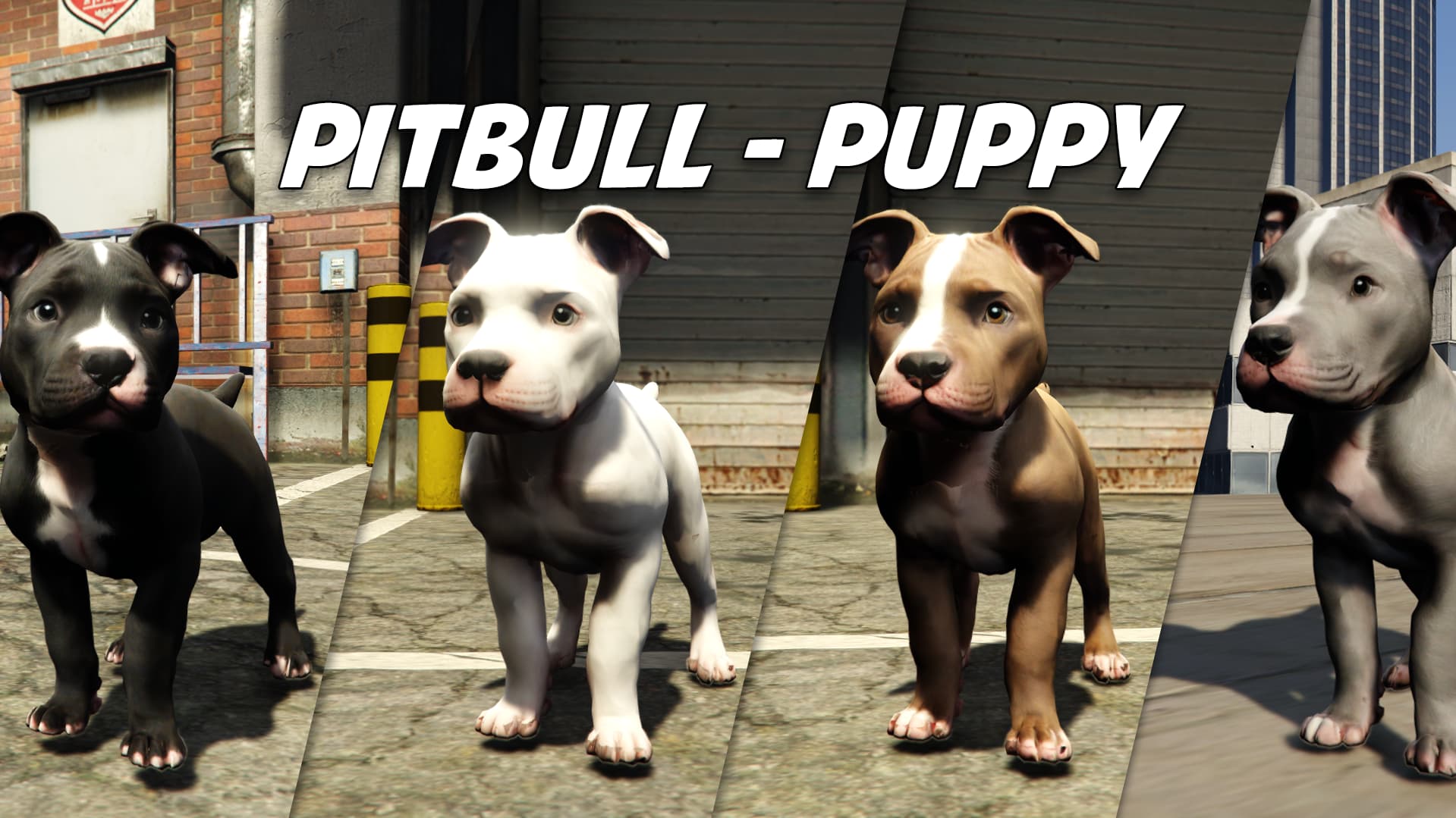 Pitbull Puppy - Addon Dog ped - FiveM Releases - Cfx.re Community
