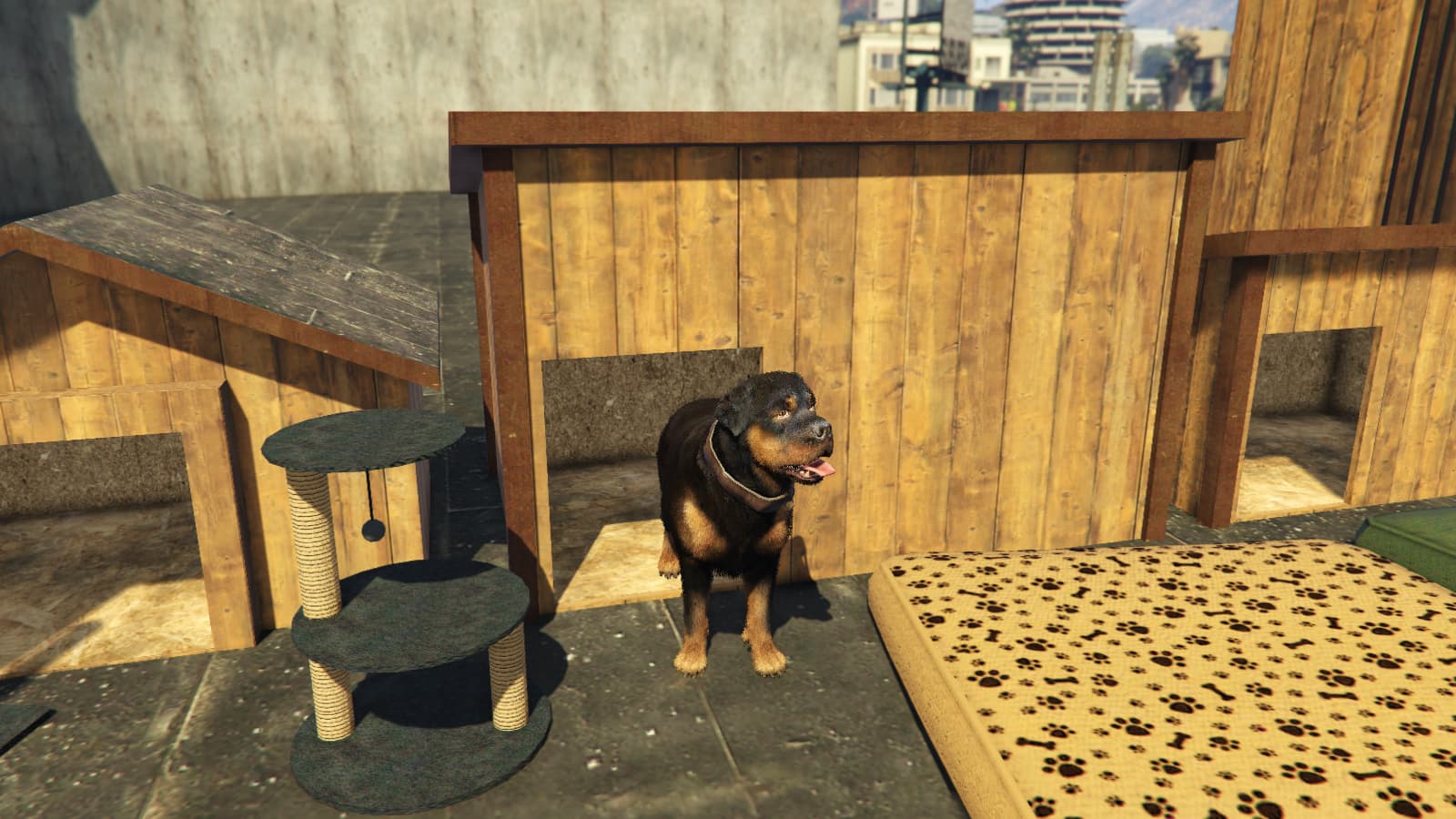 [PROPS] For pets - FiveM Releases - Cfx.re Community