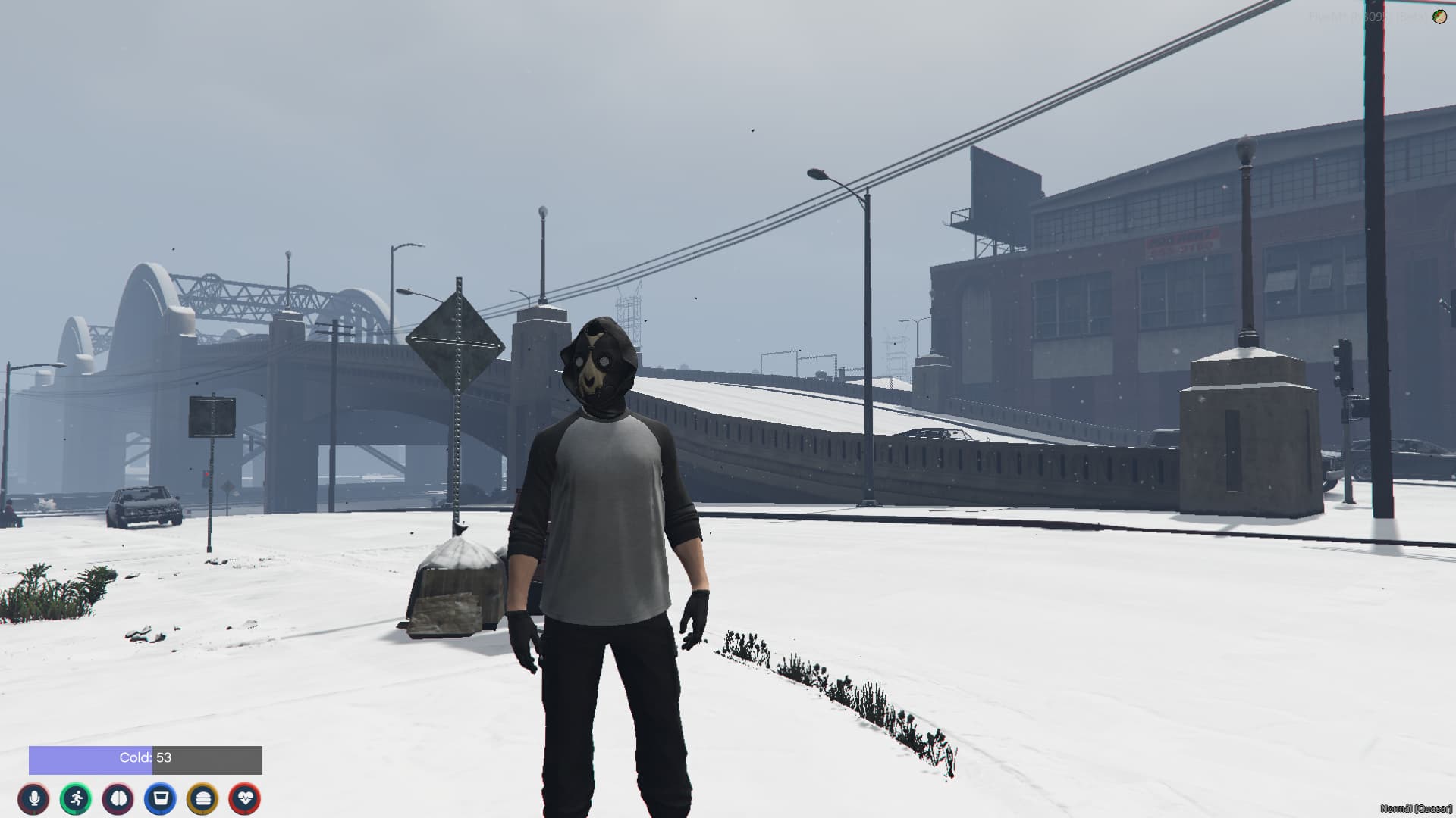 [PAID][ESX/QBCore] Frostbite System | Dynamic Cold, Heat & Winter ...