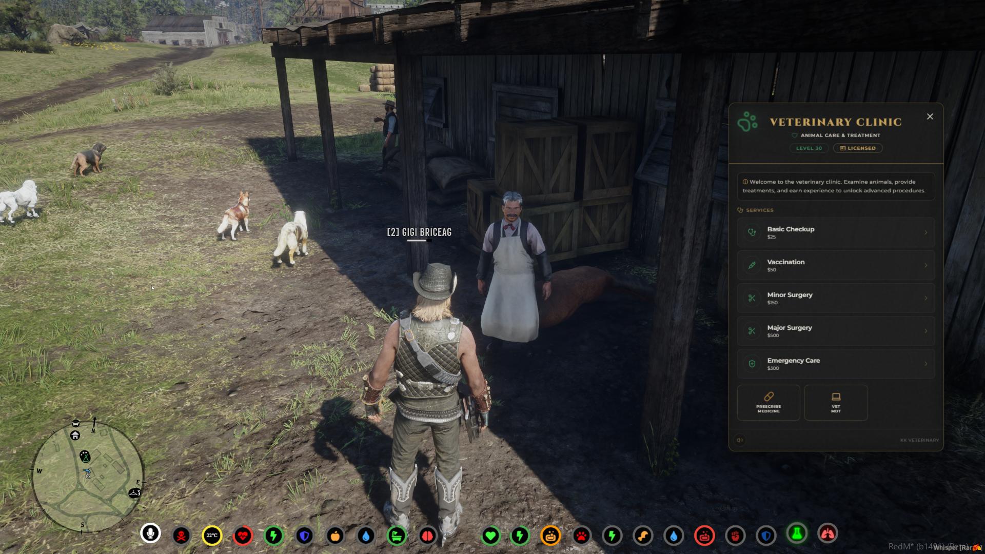 Kk-Veterinary System For Animals RSG & VORP - RedM Releases - Cfx.re ...