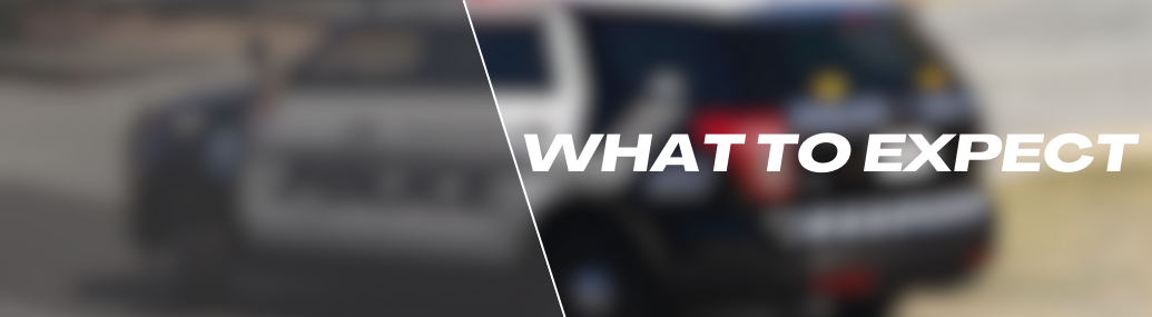 NorthCountryRP | Whitelisted | Custom Assets | 15+ | Realistic Roleplay ...