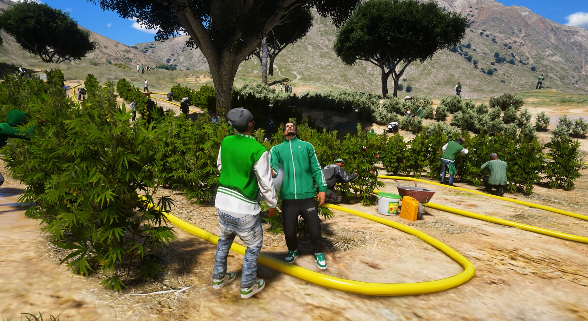 Island Weed Field - FiveM Releases - Cfx.re Community