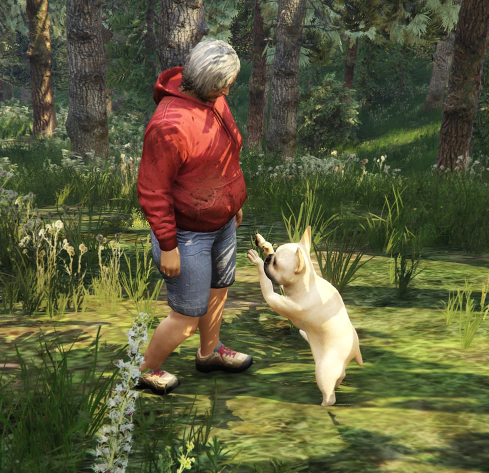 cDev Pets Subscription Pack - FiveM Releases - Cfx.re Community