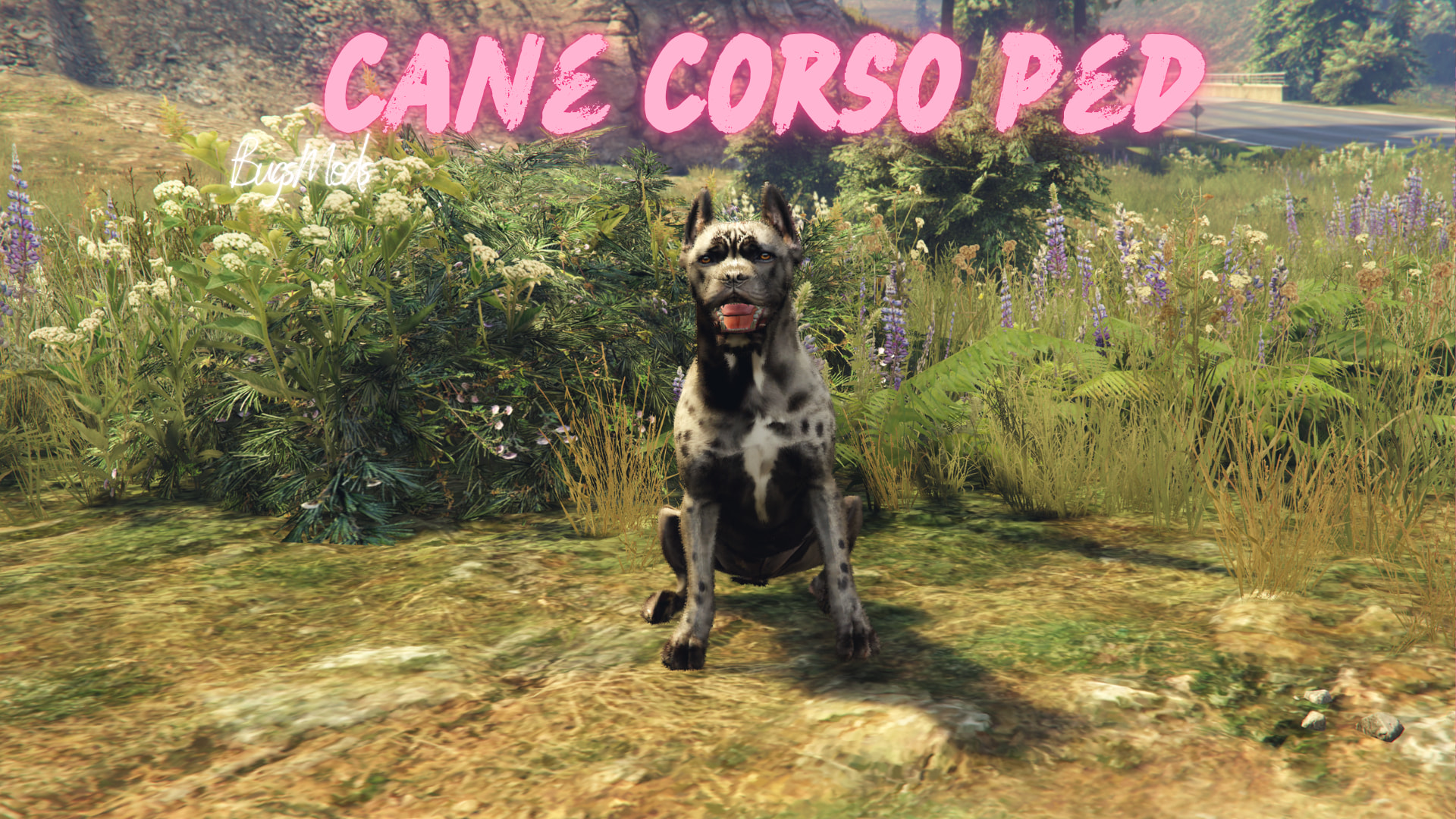 Cane Corso Ped (K9 & Civillian) - FiveM Releases - Cfx.re Community