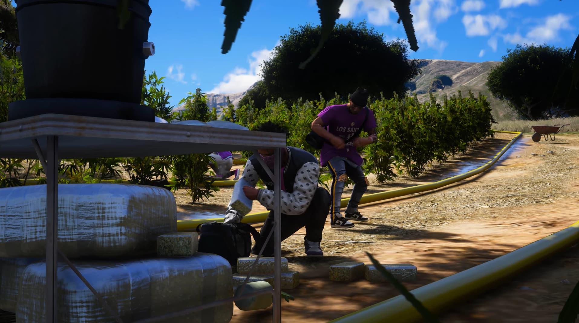 Island Weed Field - FiveM Releases - Cfx.re Community