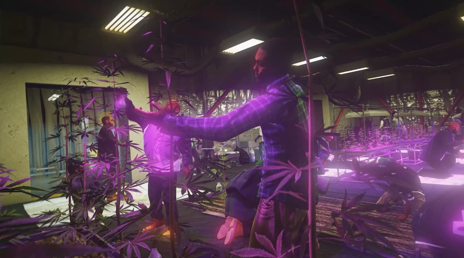 WEED LAB | MLO + INSTANCE - FiveM Releases - Cfx.re Community